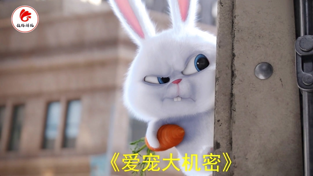 超萌动画片:柯基犬流落街头,和小兔子玩起套路!