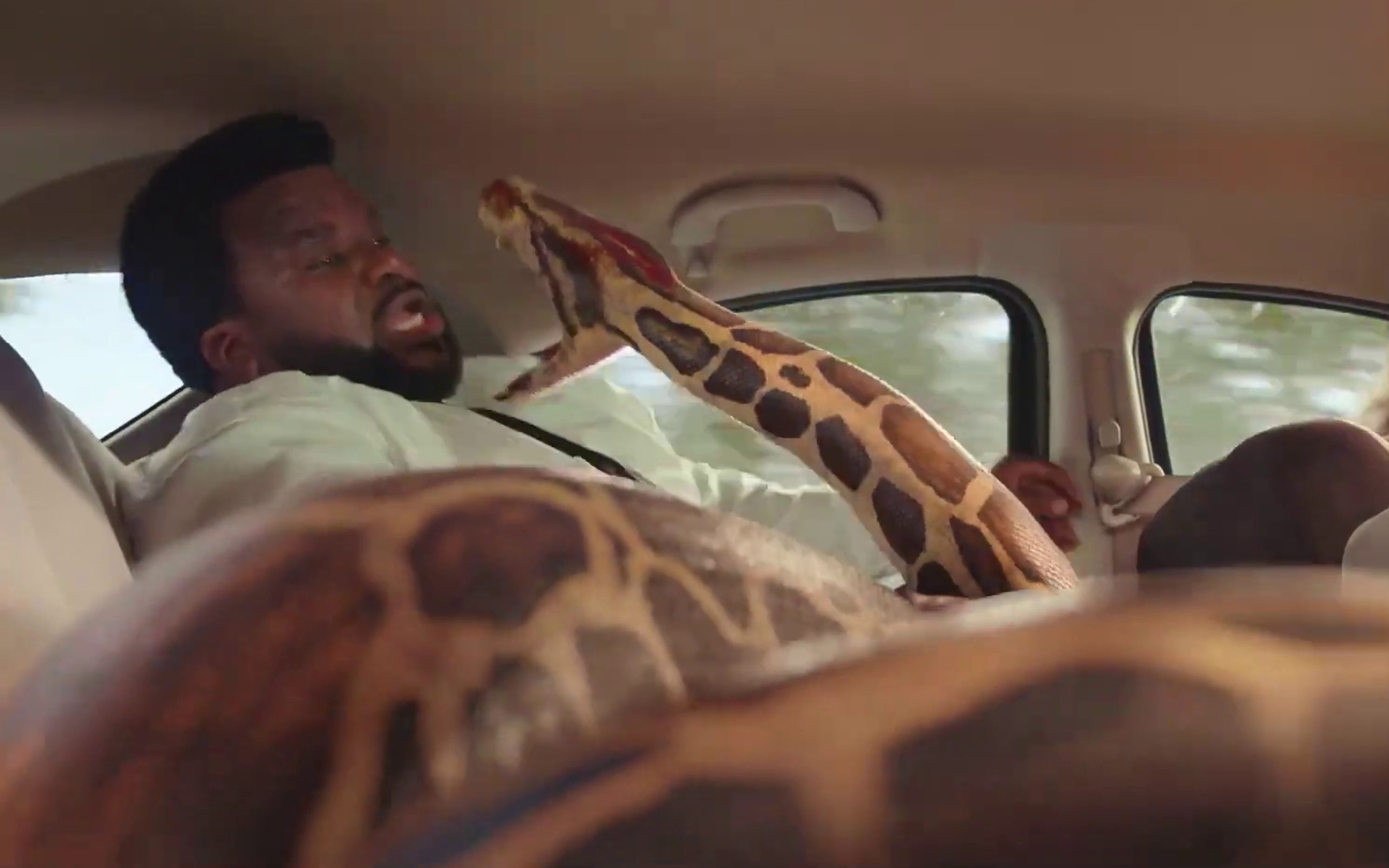 克雷格·罗宾森!喜剧剧集《猎蛇求美》先导预告