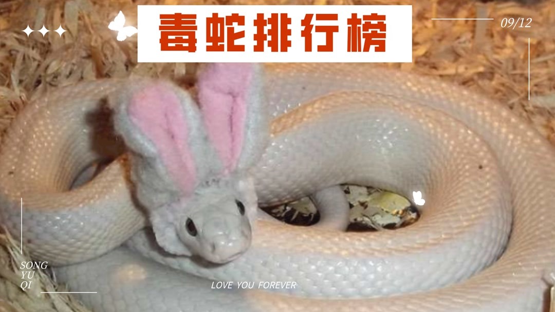 中国排名前十的毒蛇,眼镜蛇排最后,最毒的竟然是不怎么咬人的它