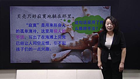 三年级语文上册第19课《海滨小城》第二课时#T59079
