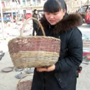陕北霞姐 