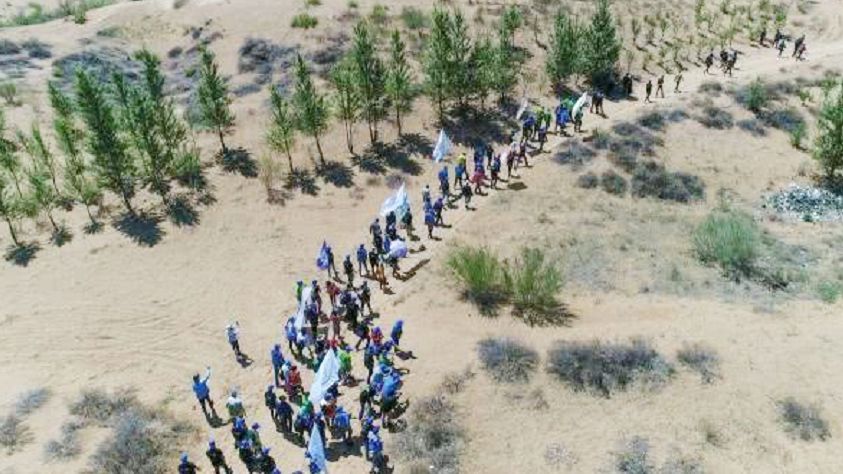 中国治理最成功的沙漠,不仅环境成功变绿,当地人还靠它月入过万