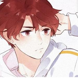 臭猪9号 