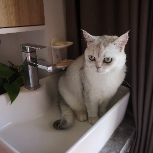 野原美伢要变美 