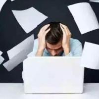 拥有黎明的麦子 