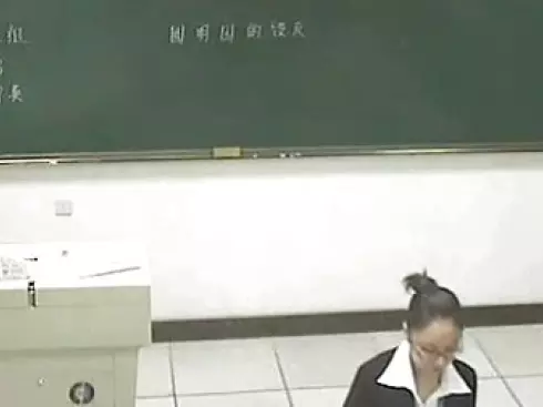 小学语文无生试讲、小学语文模拟上课、说课、微课、片段教学_标清
