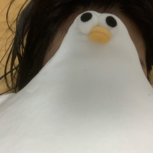 呆呆呆呆呆呆呆菊 