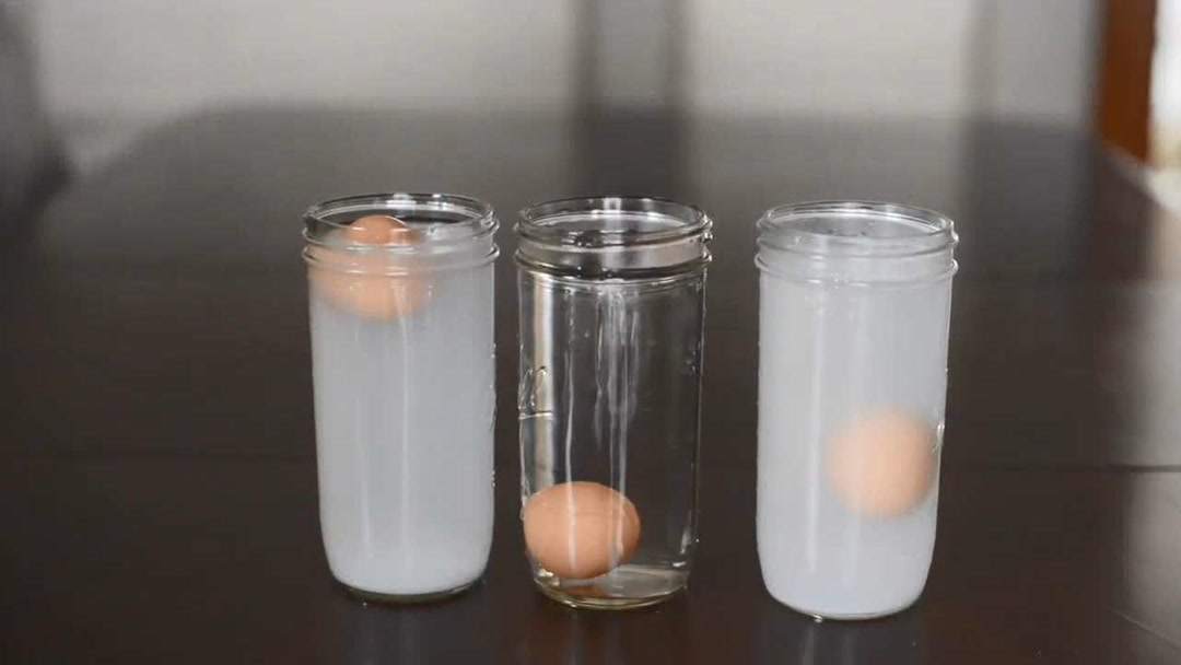 3个关于鸡蛋的小实验!既简单又好玩,在家陪孩子一起做!