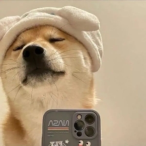 就特么你叫夏洛鸭- 