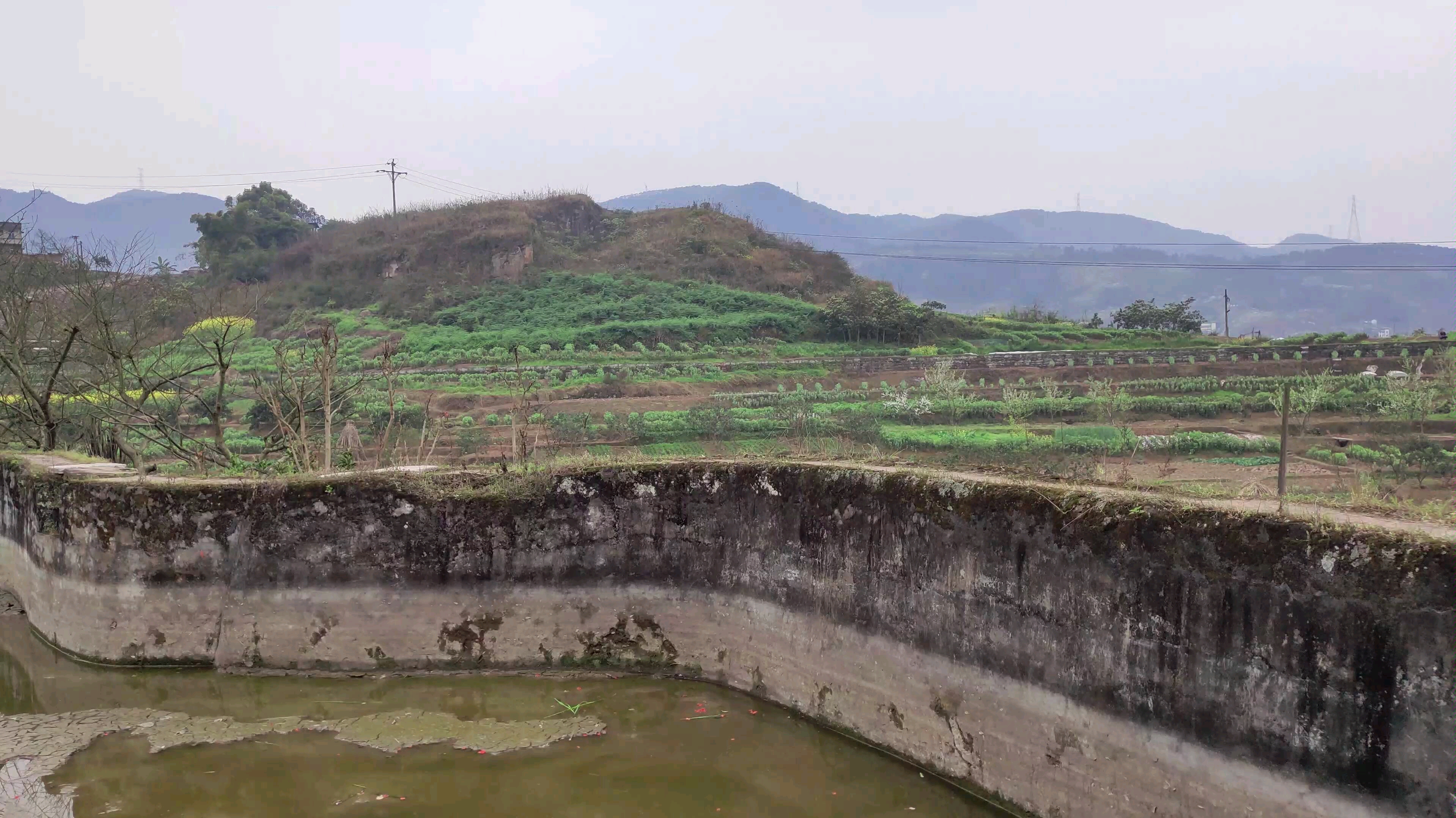 重庆交通大学土木工程学院“厨神变形记”居家劳动实践活动