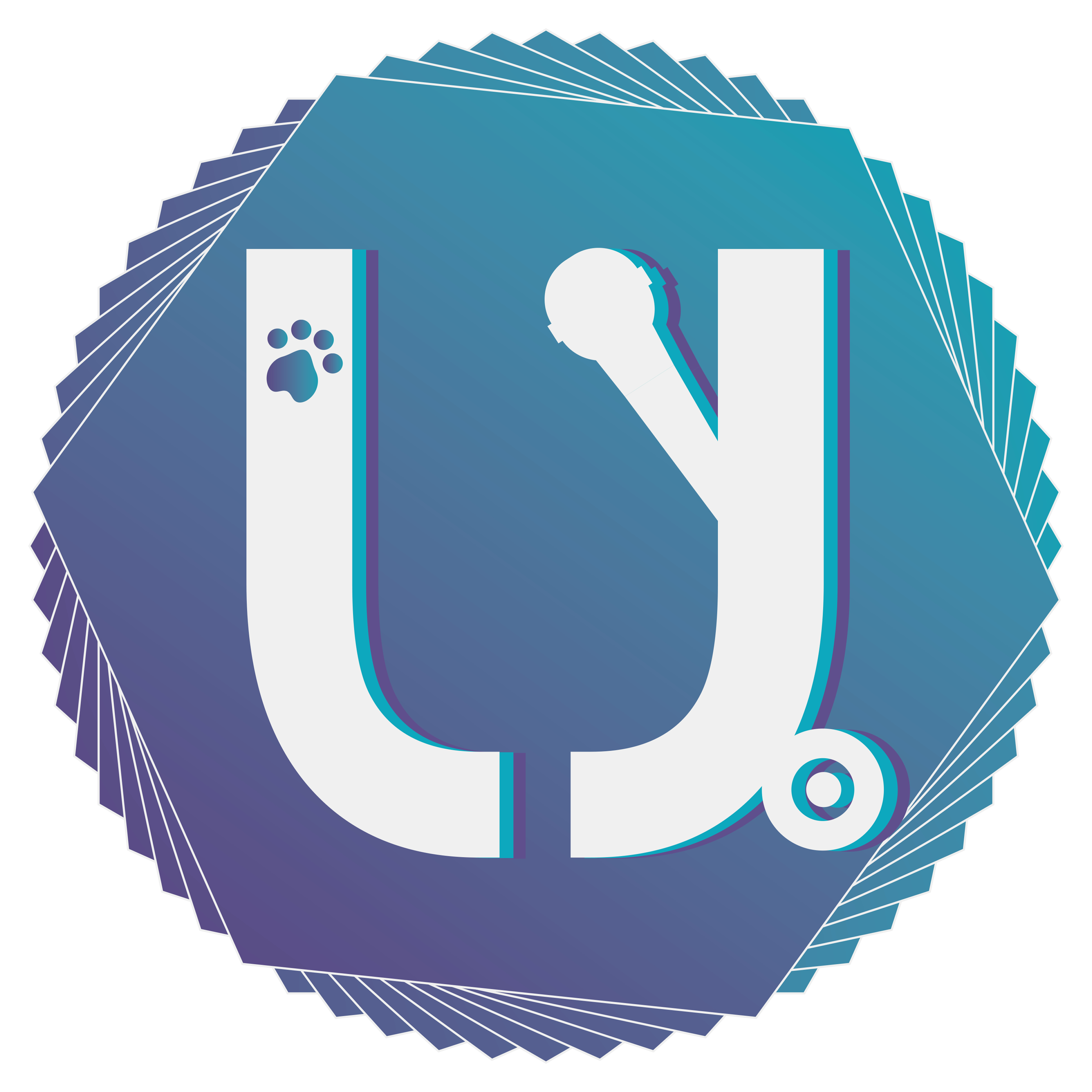 崔俞娜懵圈翻译研究所 