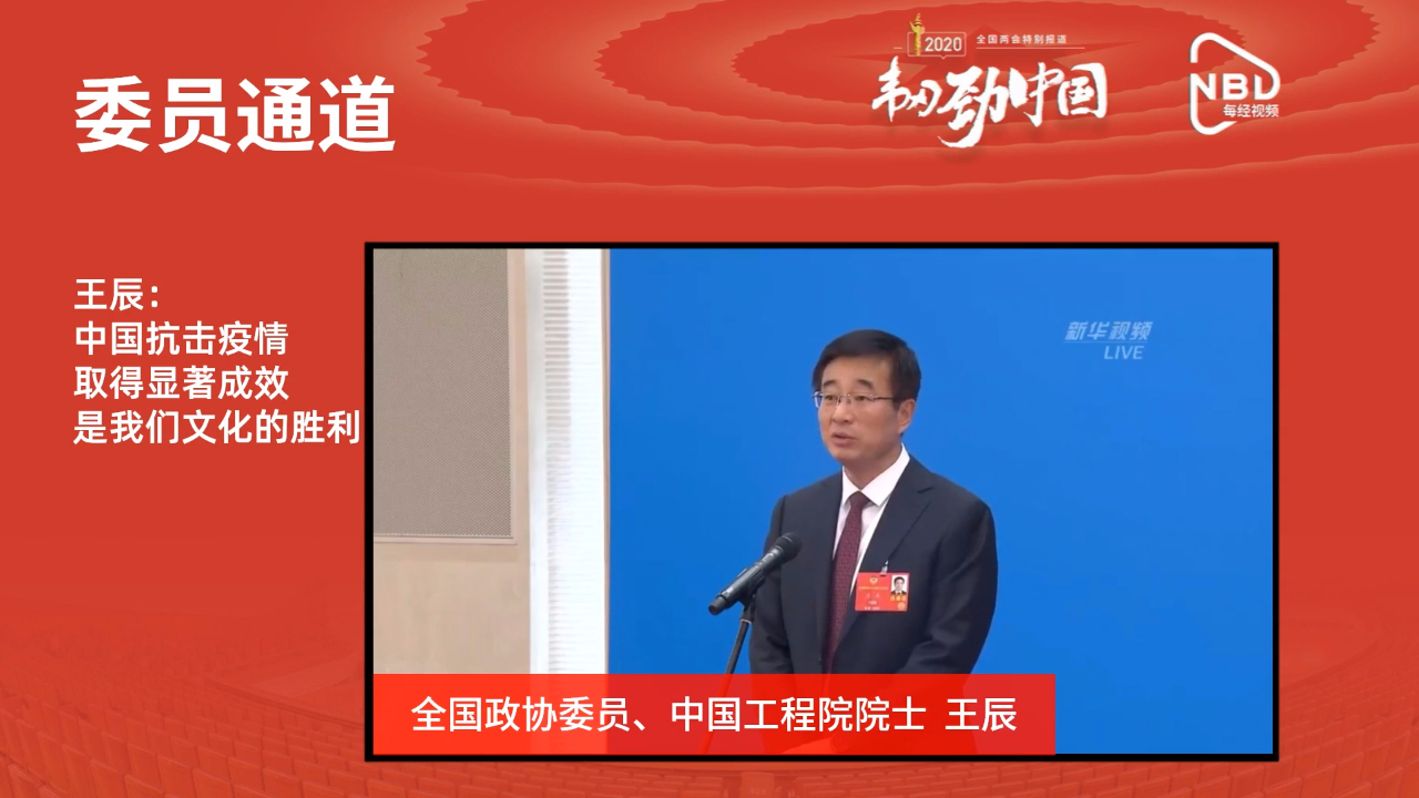 王辰:中国抗击疫情取得显著成效是我们文化的胜利