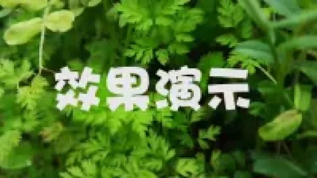大疆灵眸2稳定器,怎么使用?稳定效果如何呢?