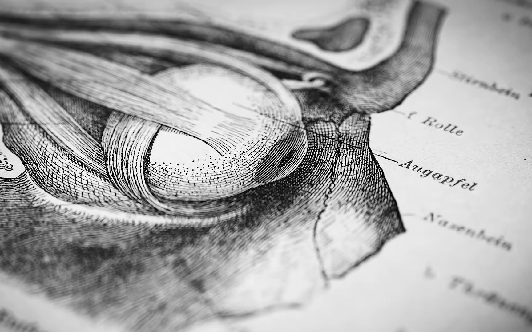 优化工作空间以提高生产力、专注力和创造力 Huberman Lab Podcast ...