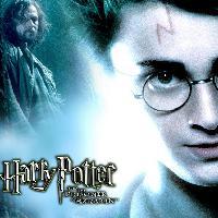 MLS拉布拉多铲屎官 