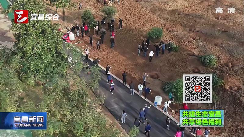 春暖花开栽新绿 23场义务植树活动等你来