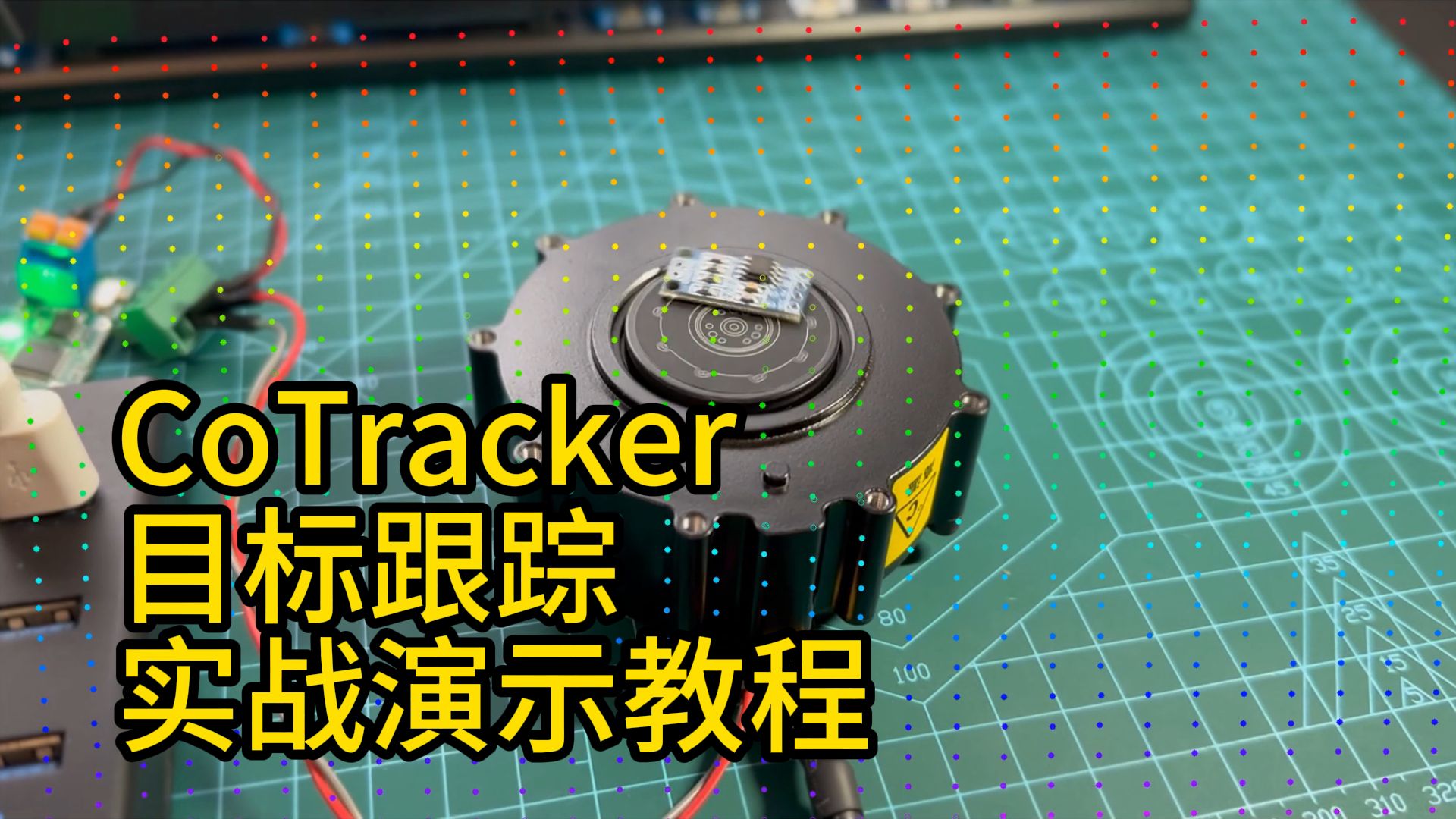 CoTracker 目标跟踪实战演示教程