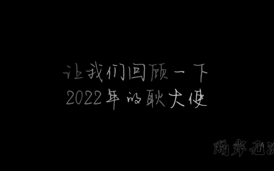 回顾2022年的耿爽大使