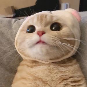 她是连夜走的 
