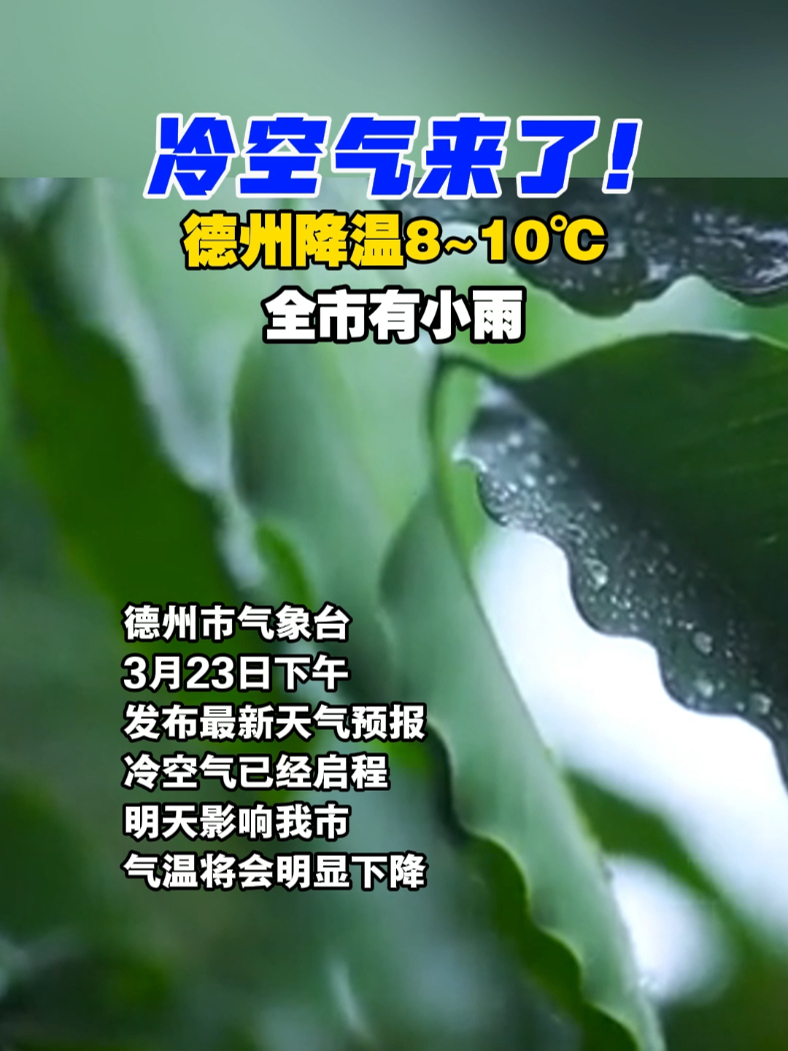 冷空气来了,降温8~10℃,全市有