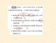 第4讲细菌真菌病毒