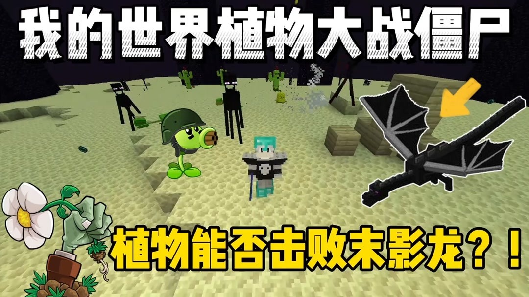 我的世界植物大战僵尸:去末地能否用植物击败末影龙!