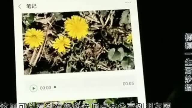 刚知晓,微信还有这个功能,一键把多张照片拼成长图