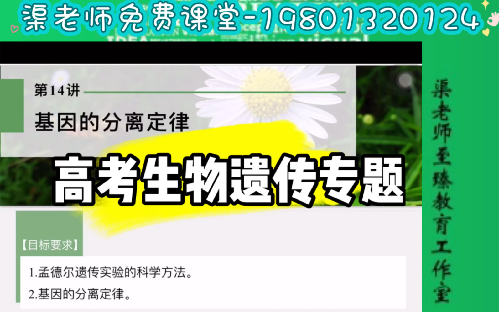 高考生物遗传部分知识精讲-基因的分离定律