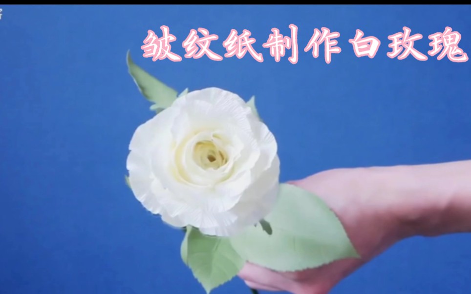 DIY手工纸艺花艺 好看的白玫瑰