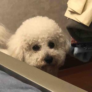 天天开心的杨杨 