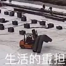 上大的小铭同学 