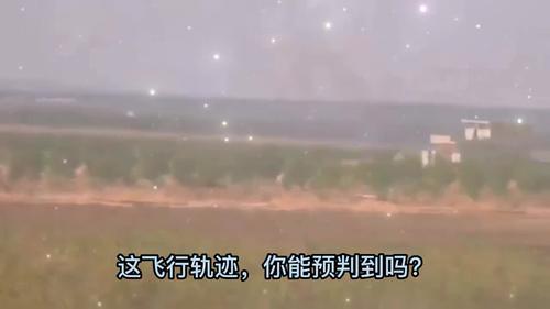 这飞行轨迹,你能预判到吗?