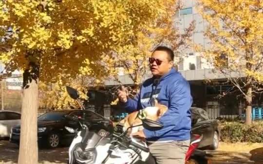 大众途观L碰撞测试竟然不如日系,说好的大众神车呢