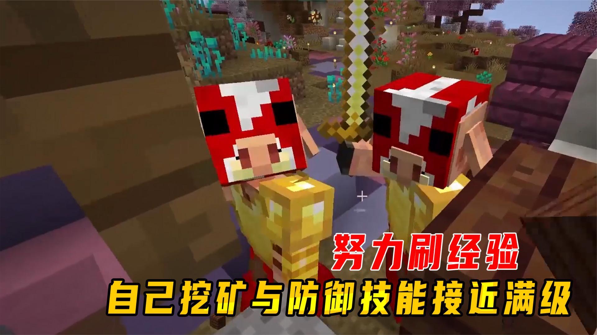 1.17更好的我的世界11:努力刷经验,自己挖矿与防御技能接近满级