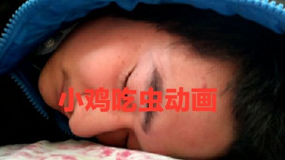 今天flash课老师出了小鸡吃虫的动画题目,太难了,赶紧休息休息