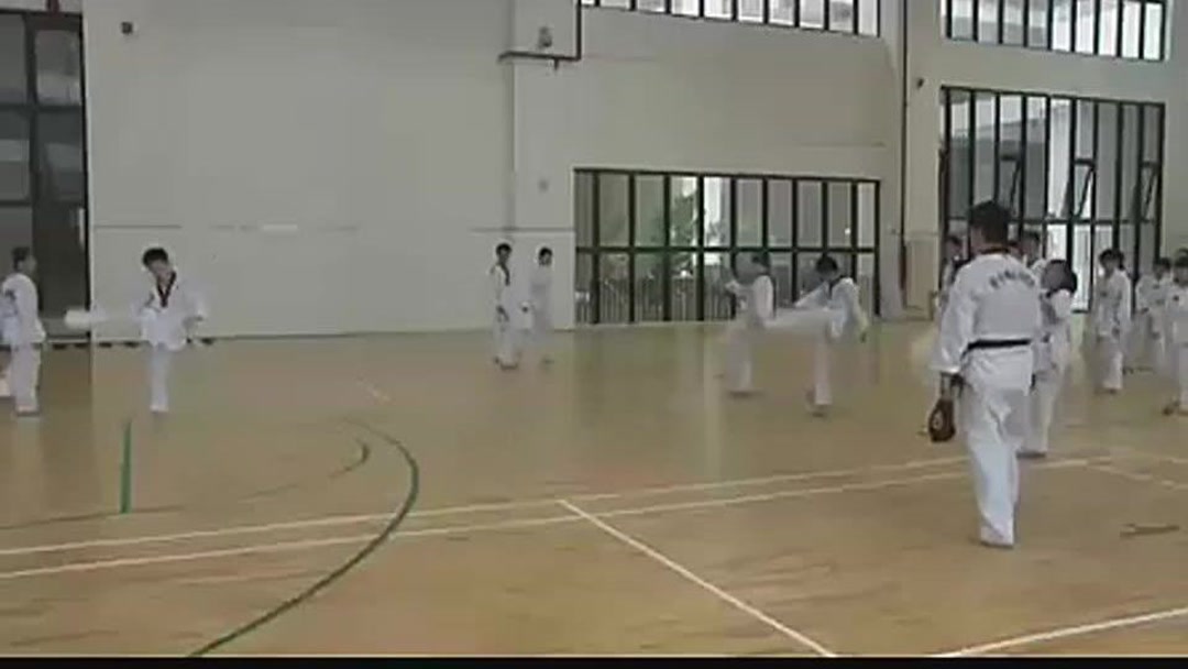 小学三年级体育教学优质公开课课堂实录gq~