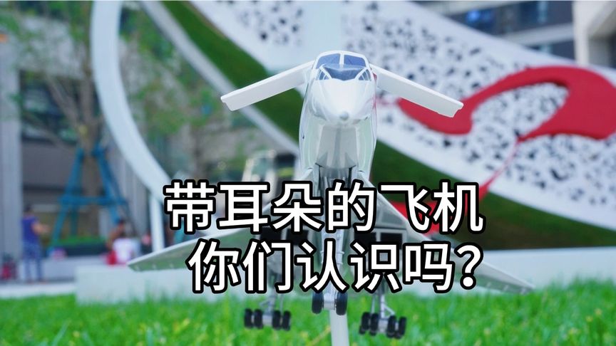 楼下草坪的飞机引来不少路人,今天就简单科普一下这架飞机吧