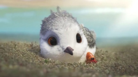 萌翻了!豆瓣9.4分,皮克斯优秀《鹬》,治愈动画短片