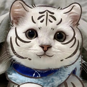 三天摸鱼两条捉虾 