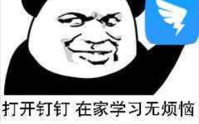 我 的 大 钉 钉 在 看 着 你