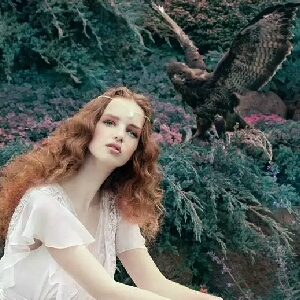 晚帘饮 