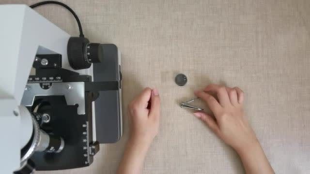 1克指甲盖垢中,有40亿个细菌,来看显微镜下的指甲盖是啥样