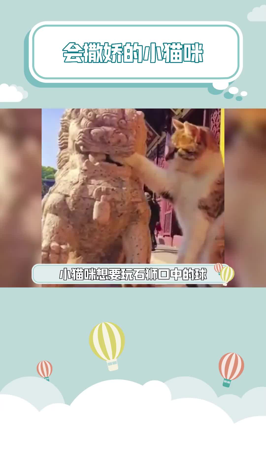 会撒娇的小猫咪猫咪萌宠可爱到犯规可爱到爆炸