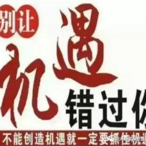 弗琳君de辜战 