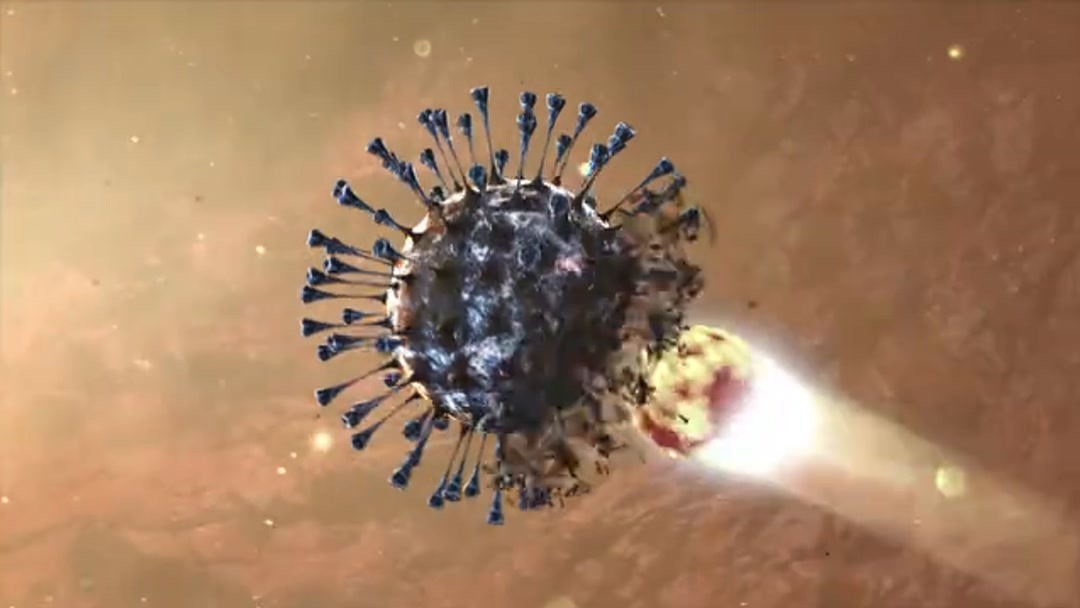 白细胞对抗病毒