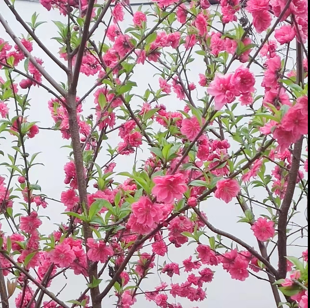 丁老师教初中化学 