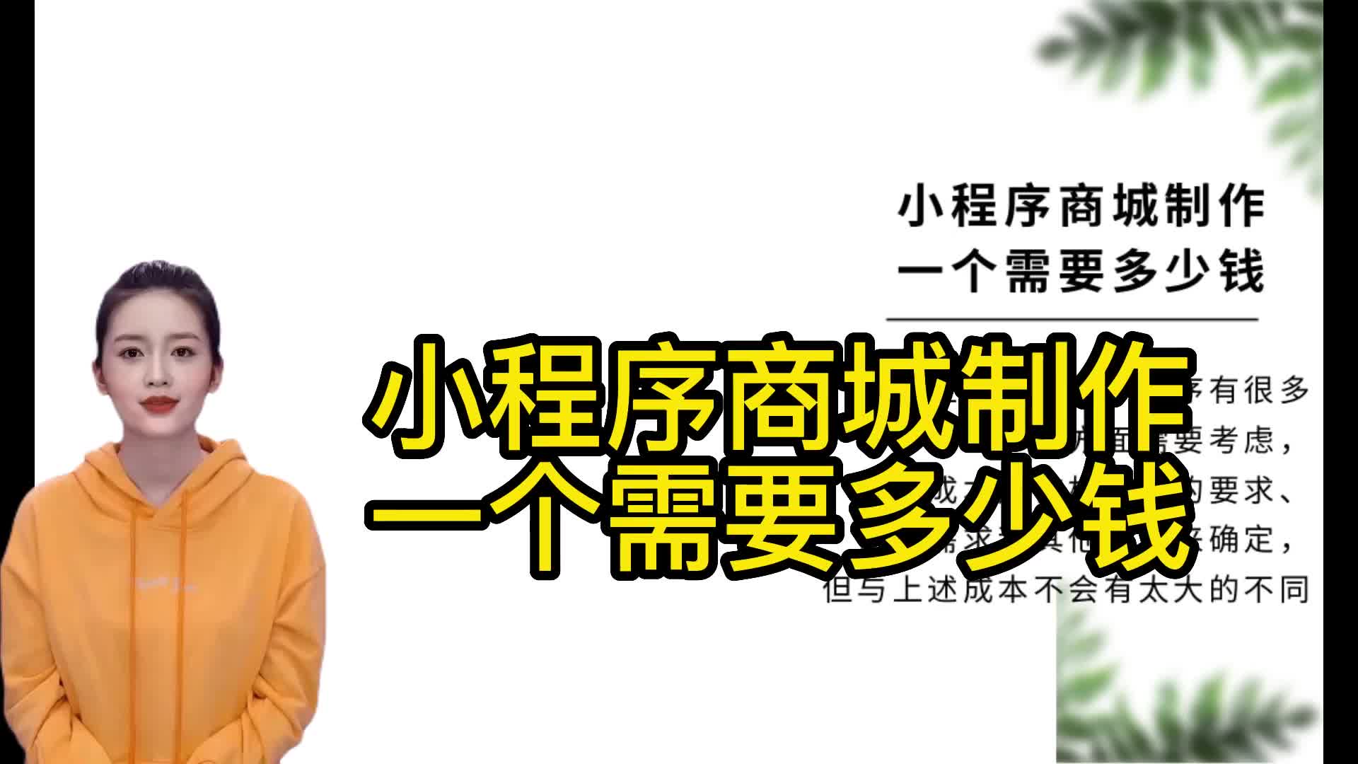小程序商城制作一个需要多少钱?开发一个商城小程序多少钱?