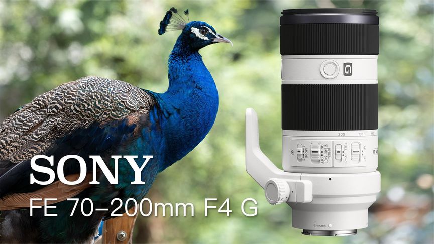索尼FE 70-200mm f4 G简单的使用分享