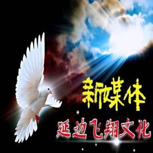 阿祖巛新视角 