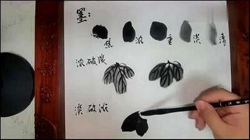 中老年国画入门教学,用墨技巧浓变淡,老师一步一步教会你